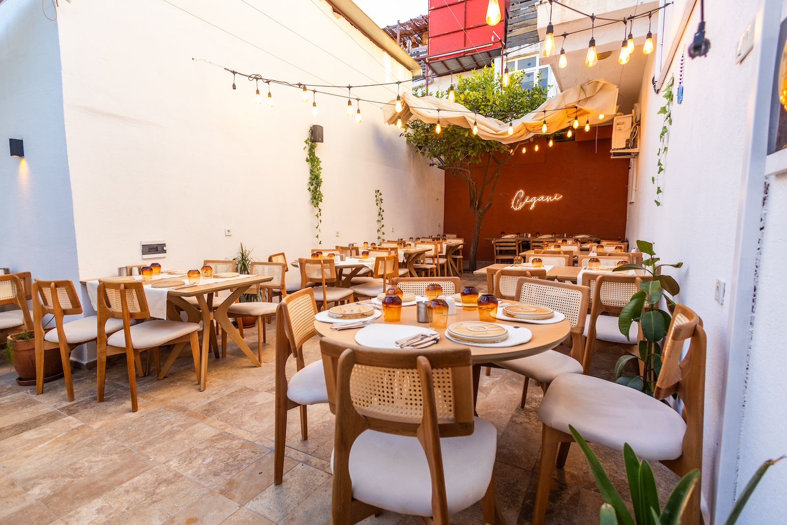 Cigani Restaurant – Sığacık'ta Modern Ege Mezeleri ve Akşam Yemeği
