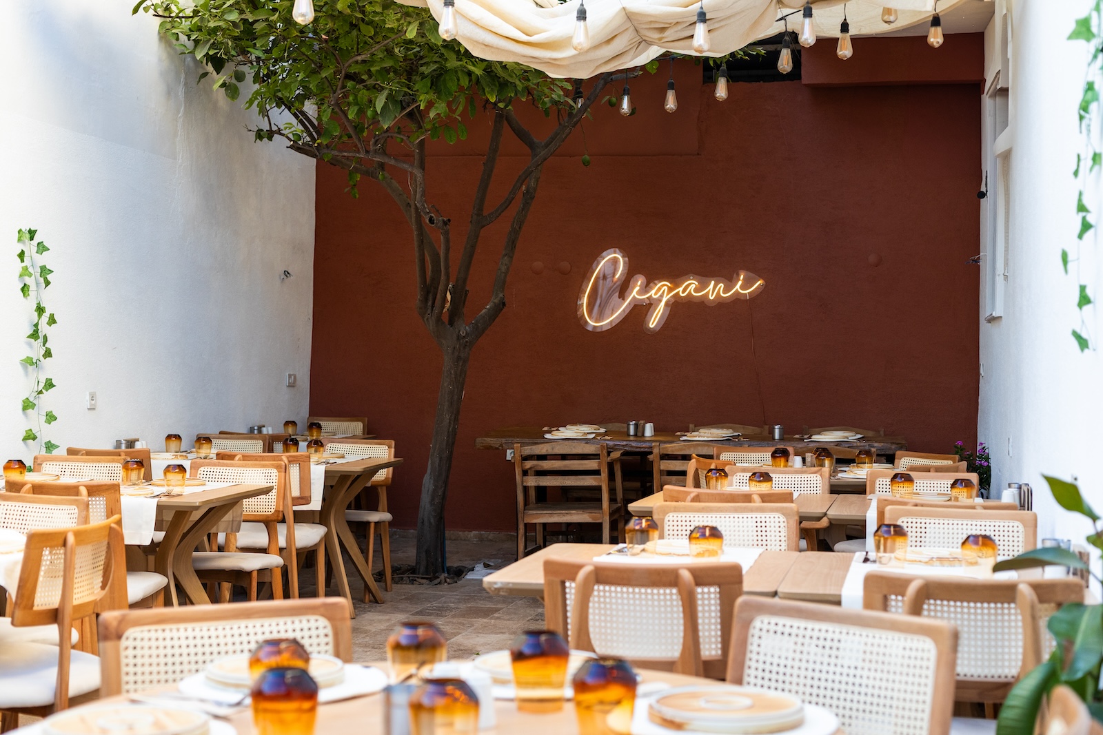 Cigani Restaurant – Sığacık'ta Modern Ege Mezeleri ve Akşam Yemeği