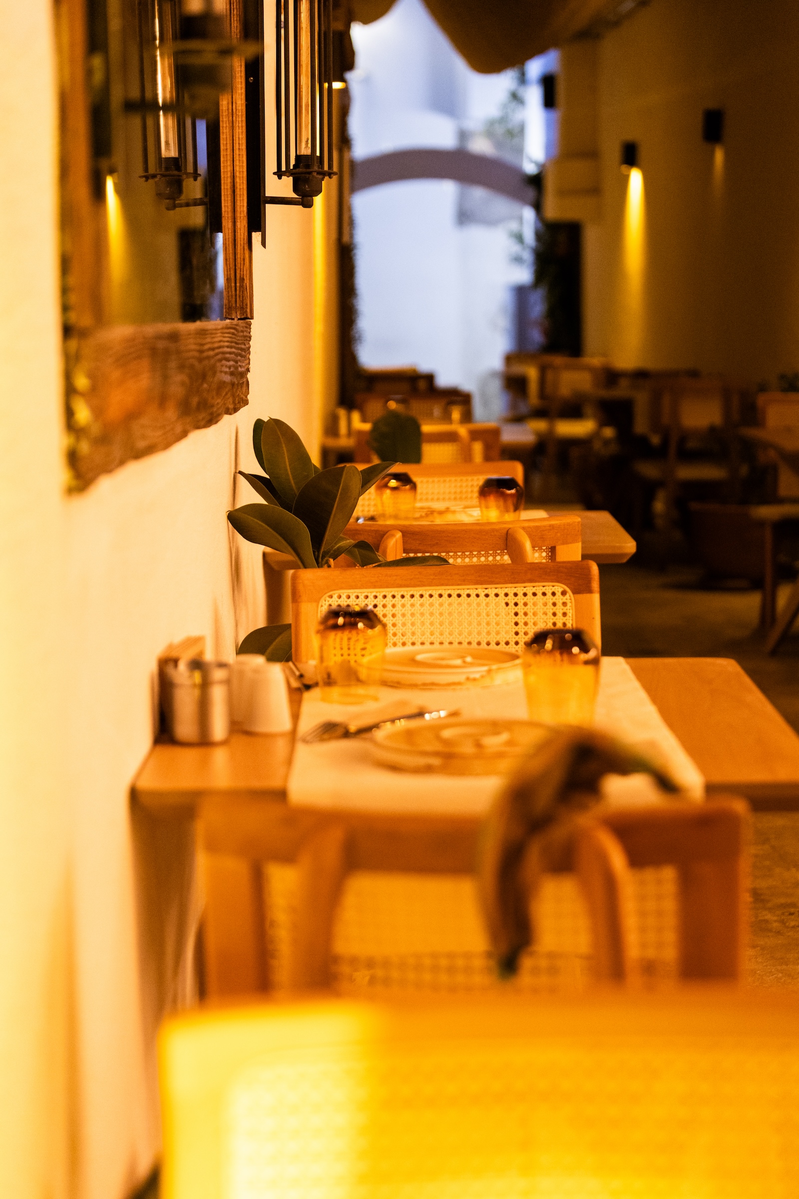 Cigani Restaurant – Sığacık'ta Modern Ege Mezeleri ve Akşam Yemeği
