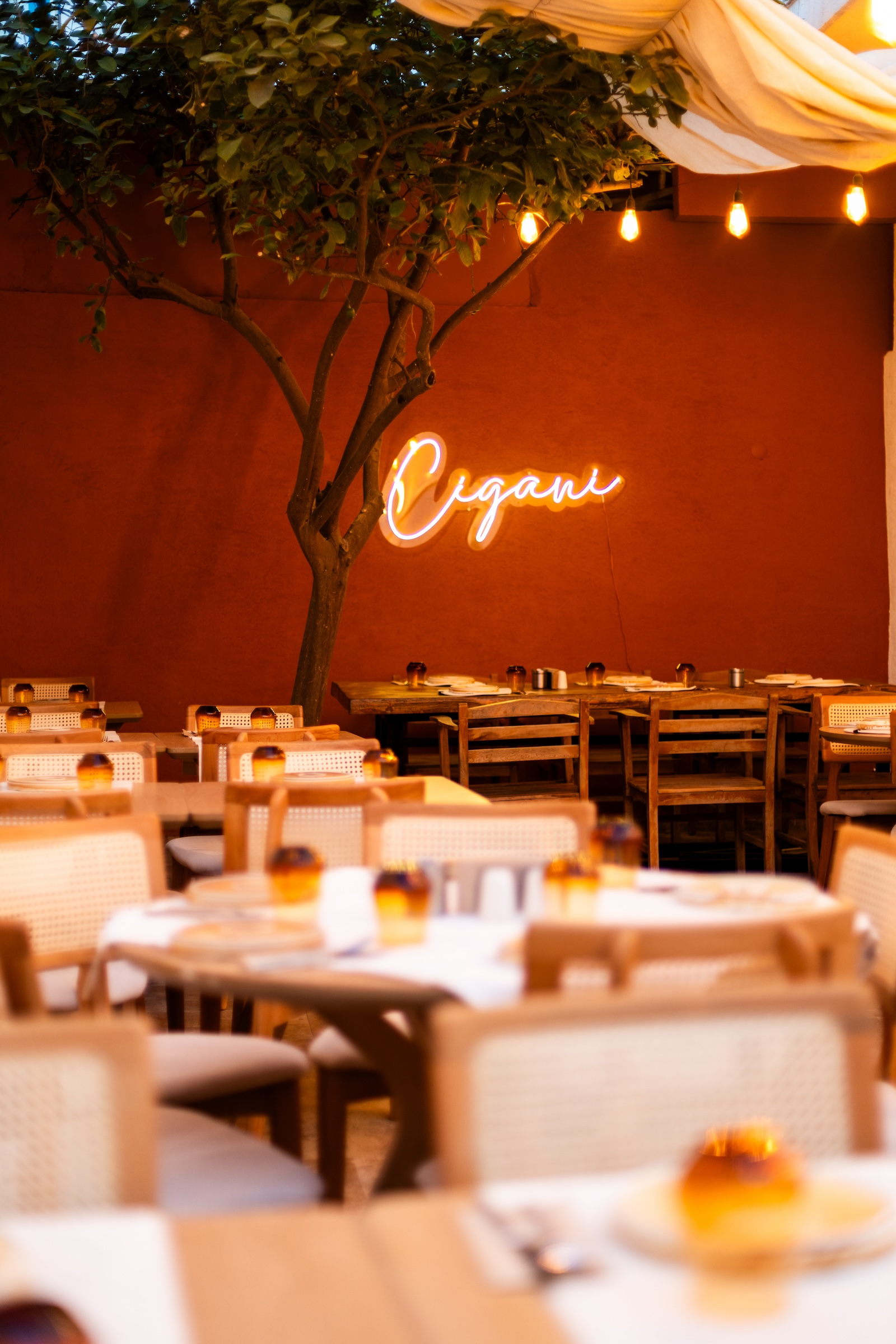 Cigani Restaurant – Sığacık'ta Modern Ege Mezeleri ve Akşam Yemeği